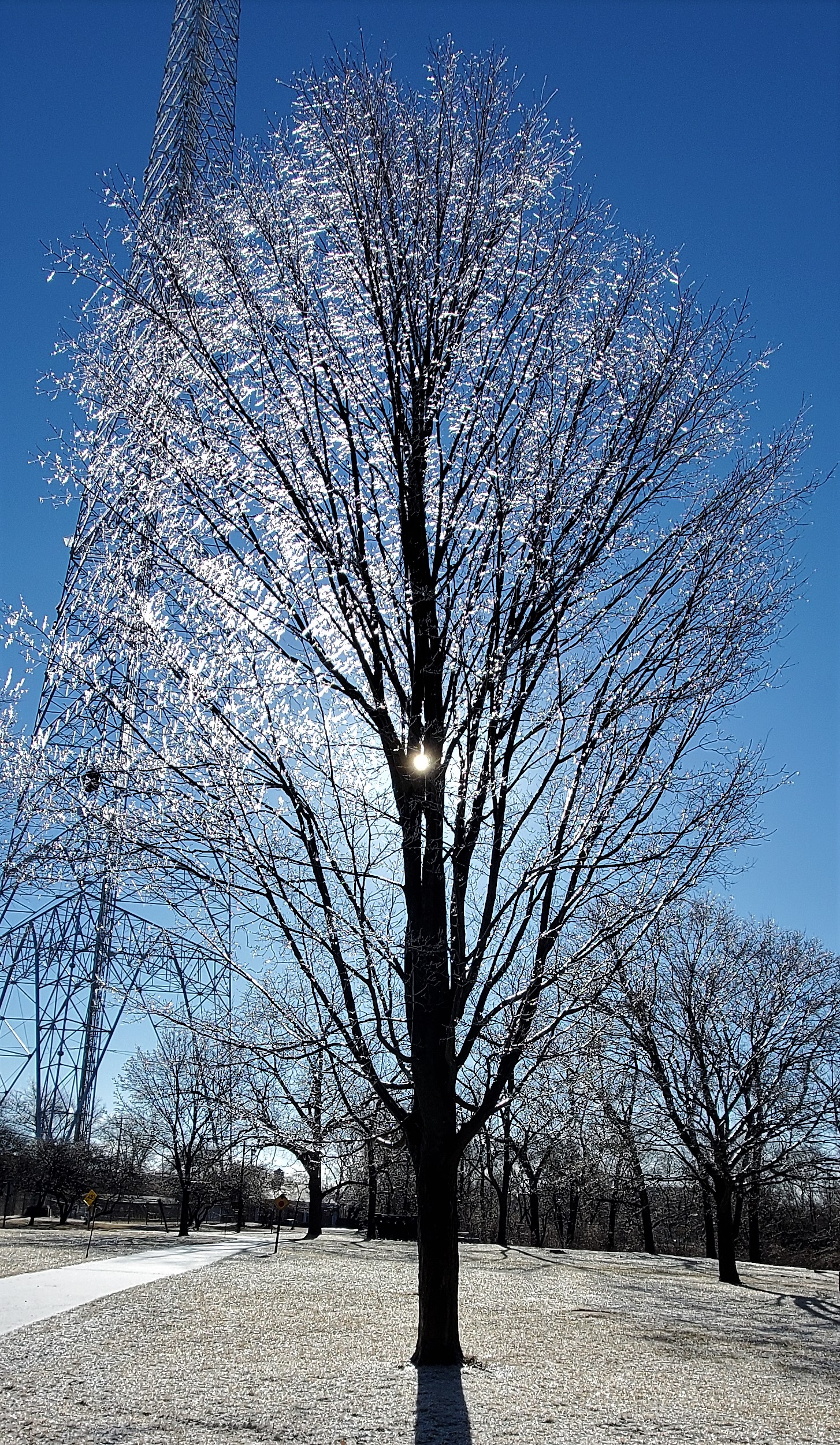 A Crystal Palace – Signs of Life in Estabrook Park